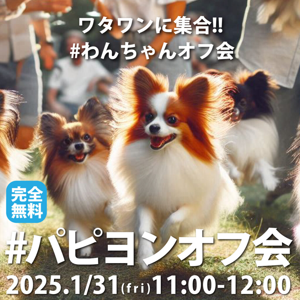 2025年1月31日 #パピヨンオフ会 | WHATAWON（ワタワン）