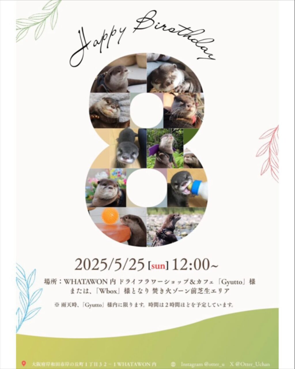 2025年5月25日 簾\ウーちゃんの8歳バースデーパーティー開催決定ッ ／簾 | WHATAWON（ワタワン）