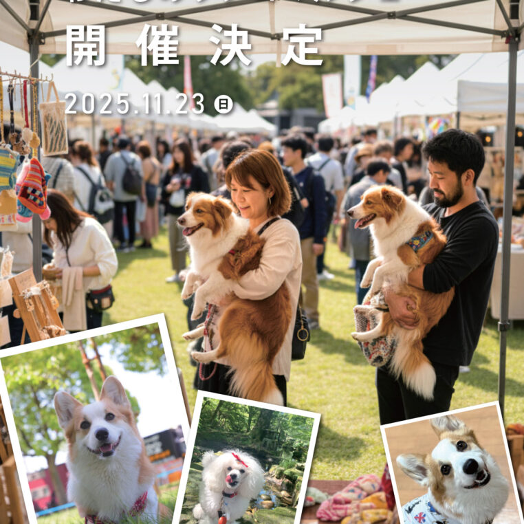 WHATAWON RVパーク 遂にOPEN!! ⚡ | WHATAWON（ワタワン）